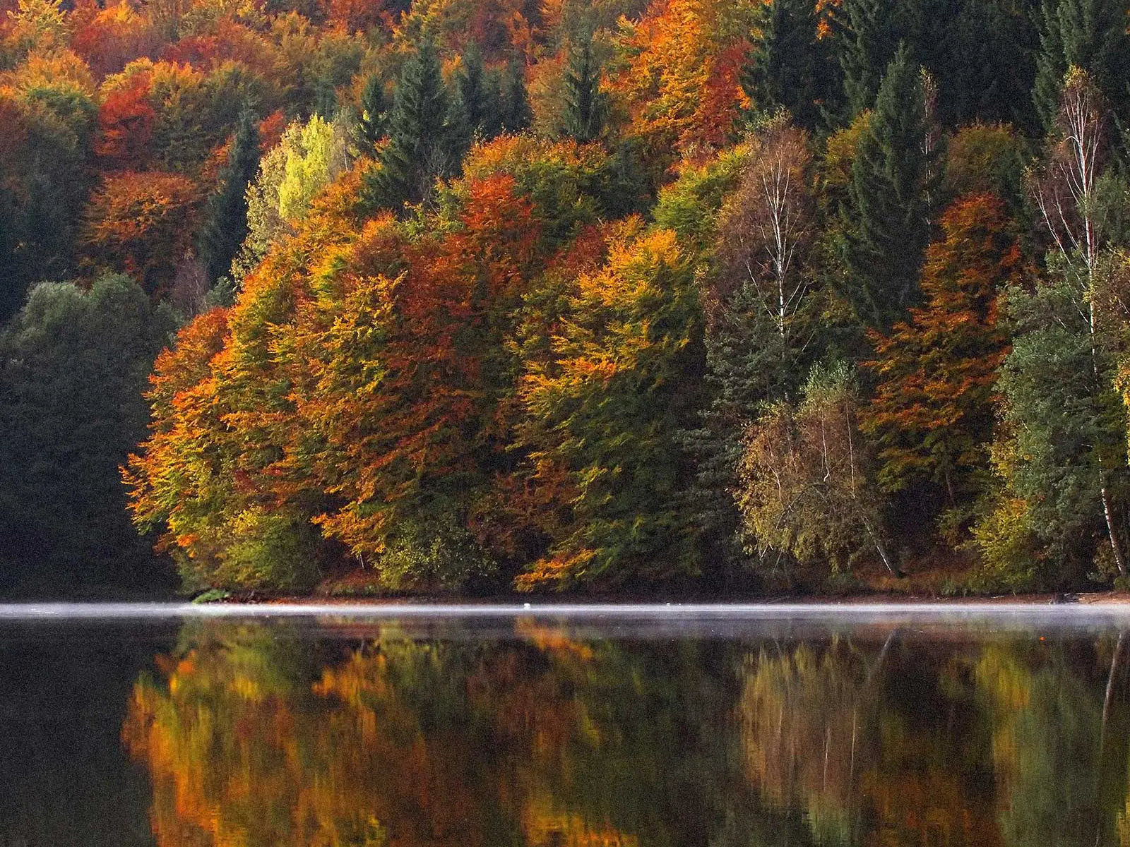 Autumn, introspection and new energy: discover the new Autumn Equinox